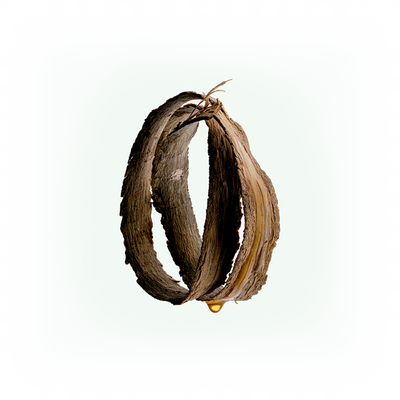 CORPUS® | Body Scrub | Katrafay – Corpus Naturals